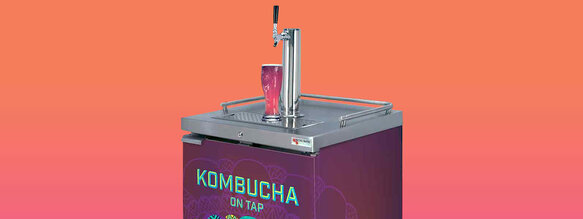 The Essential Guide: Kombucha On Tap