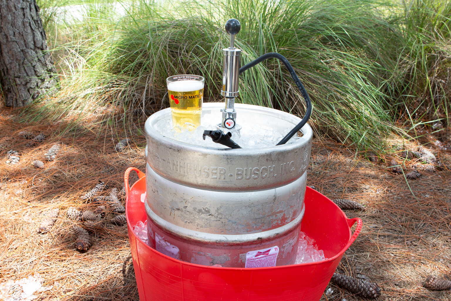 Beer Keg Party Your Summer Beer Party Guide, Plus How To Select The